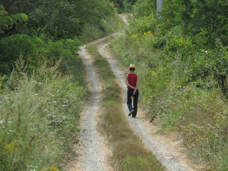 Ubijanje kreativnosti - Školegijum